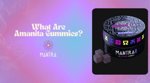 What Are Amanita Muscaria Gummies?