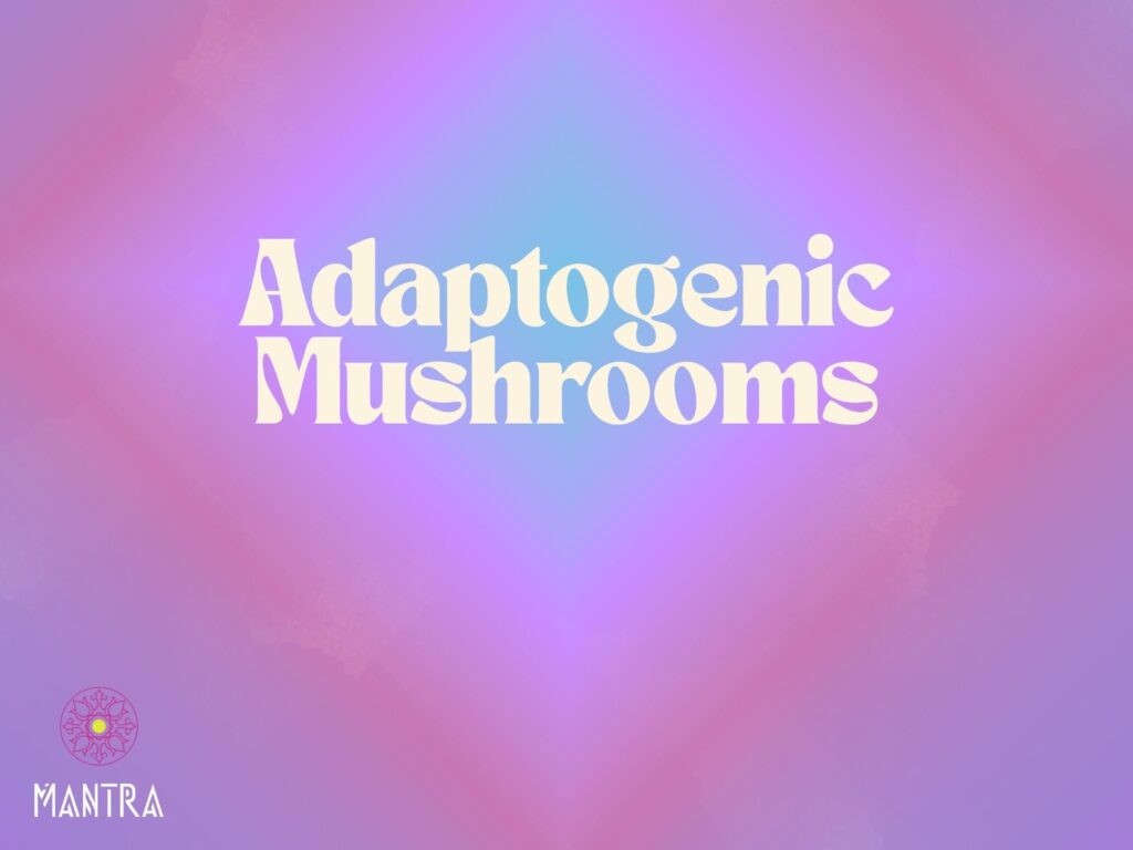 Adaptogenic Mushrooms: Benefits, Risks, and How to Use Them