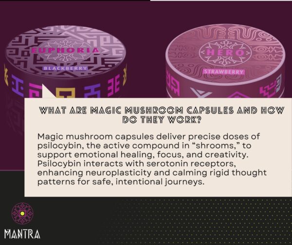 Magic Mushroom Capsules: Benefits & How They Work