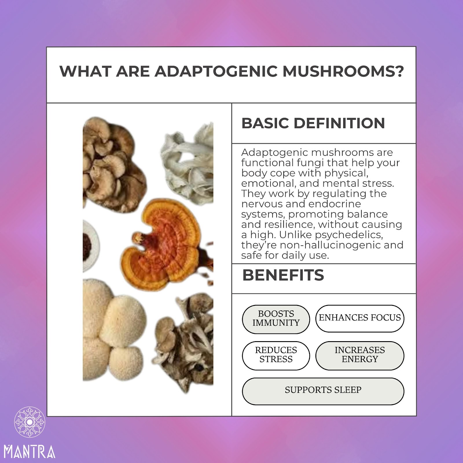 Adaptogenic Mushrooms: Benefits, Risks, and How to Use Them