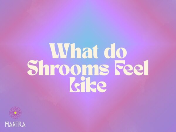 What Do Shrooms Feel Like? Psilocybin Explained